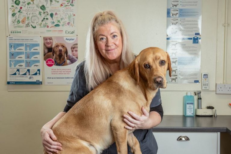 24 Hour Emergency Care | Old Registry Vets
